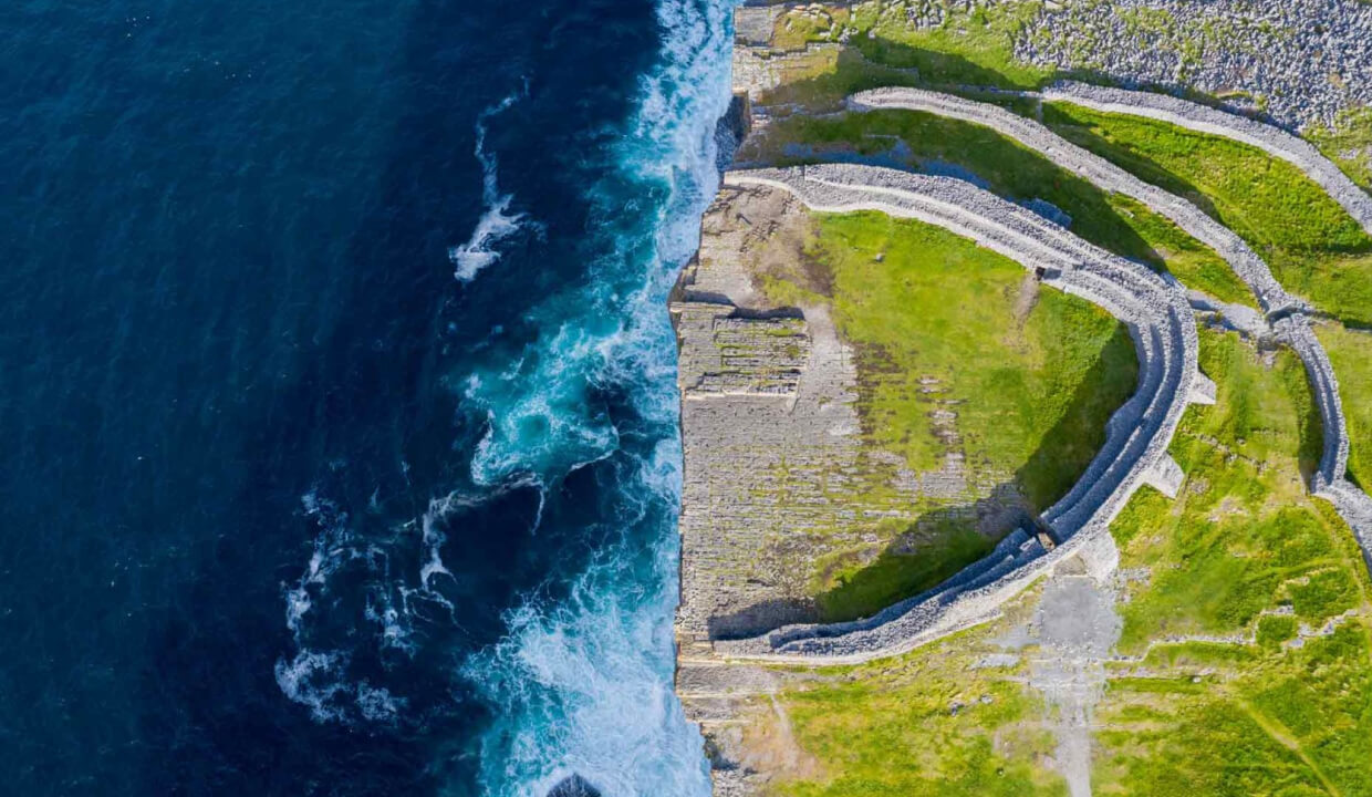 Sample Page | Synecco